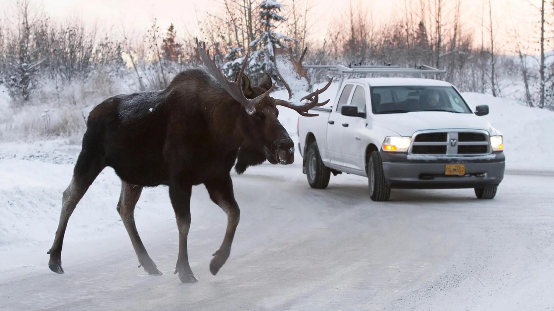 Moose Test Became Famous 26 Years Ago – AutomoBible